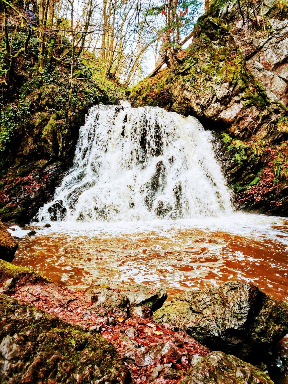 Explore the Wild Corners of Highlands on a Road Trip through Black Isle