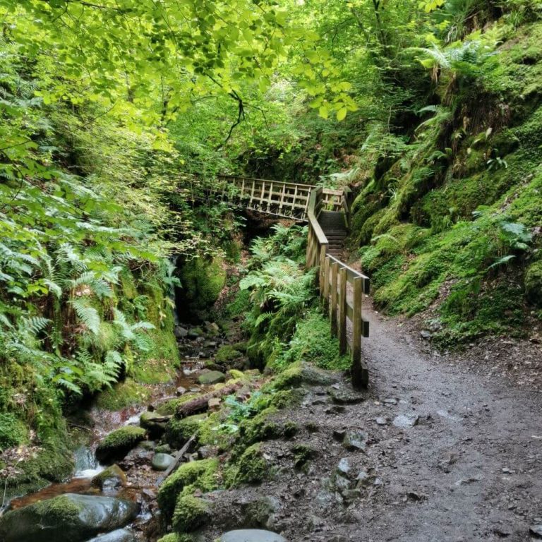 The 15 Best National Trust for Scotland Places to Explore